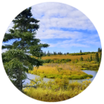 Native Allotments - AVCP